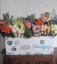 Event Bloom Box 2025| Bellevueroses.com