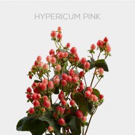 Load your box to a minimum of 95%