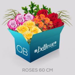 QB 60cm | Bellevueroses.com