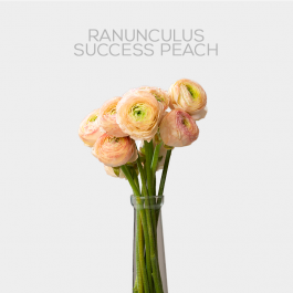 Load your box to a minimum of 95%