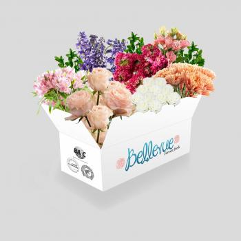 Set up your box!