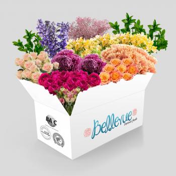 Set up your box! | Bellevueroses.com